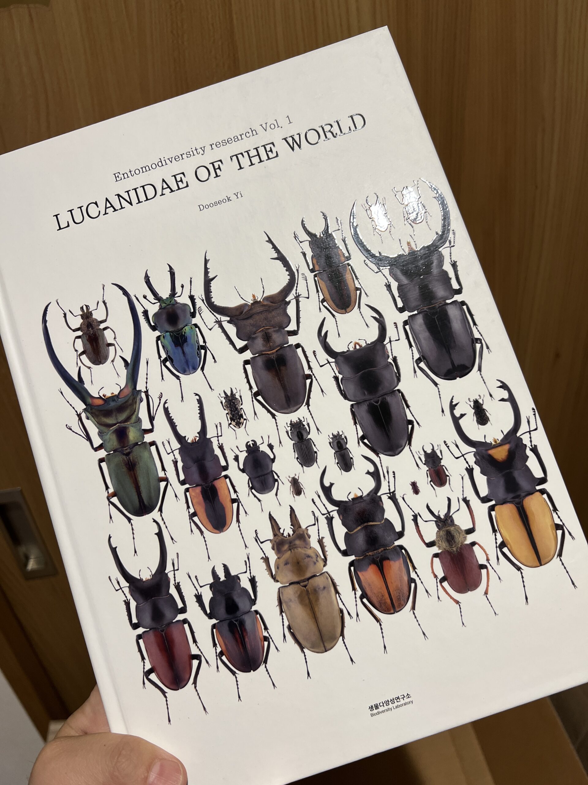 mesotopus/lucanidae of the world | insane swag! insect stag beeeeeeeeetle.